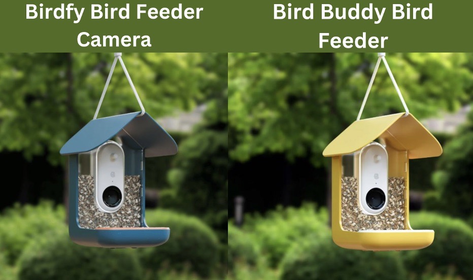 Birdfy Vs Bird Buddy
