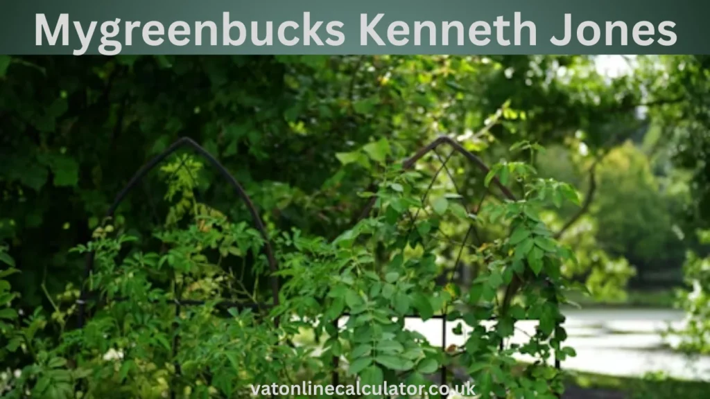 What MyGreenBucks Kenneth Jones Really Means - Online VAT calculator